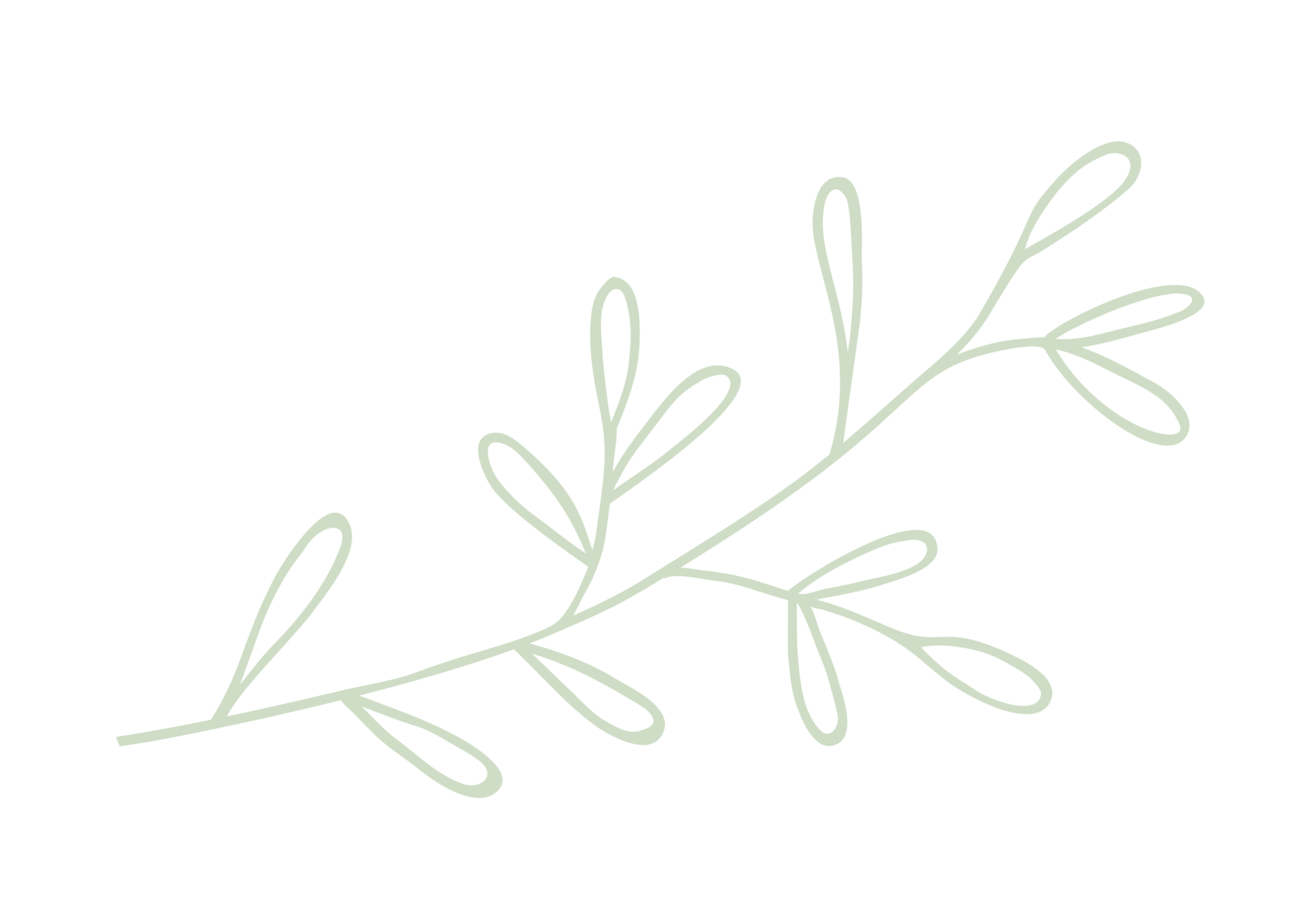 Programmes Archive - Roxim